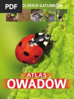 Stawonogi Notatka Pdf
