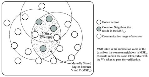 An Example Of Mutually Shared Region Msr Token Usage Download Scientific Diagram