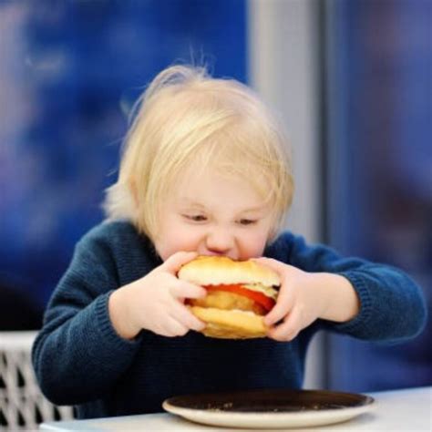 Какой вес считается нормальным по данным ВОЗ Разница между избыточным весом и ожирением