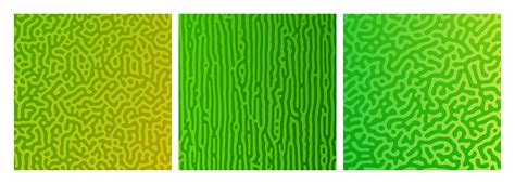 Set Of Three Green Turing Reaction Gradient Backgrounds Abstract Diffusion Pattern With Chaotic