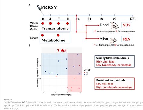 Figure 1 From Integrated Time Series Transcriptomic And Metabolomic