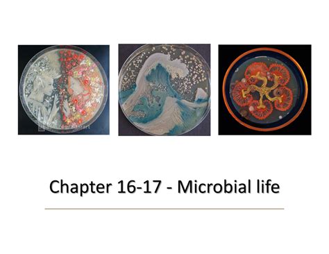 Chapter 16 17 Microbial Life ML Chapter 16 17 Microbial Life Intro To Microbiology
