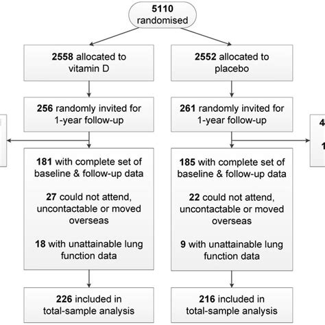 Flowchart Showing The Number Of Randomized Participants Who Were