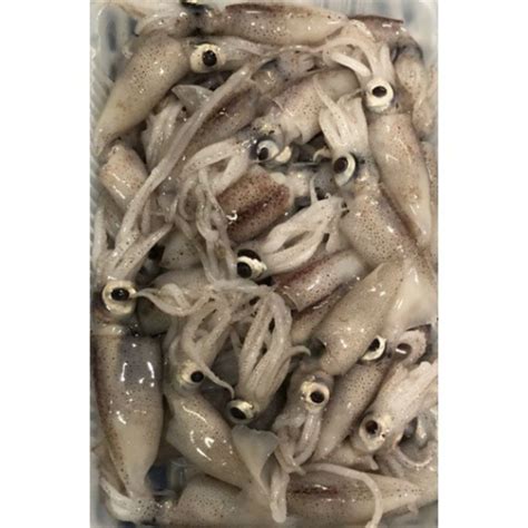 板橋阿禧鮮魚行 399元免運 生鮮 牛肉 豬肉 羊肉 調理食品 雞肉 鴨肉 早餐食材 Iopen Mall