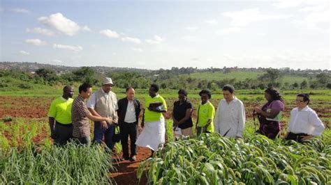 Country Programming Framework 2021 2025