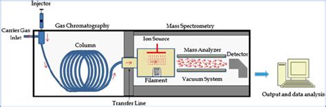 Gas Chromatography Detector Type Of GC Detectors PharmaSciences