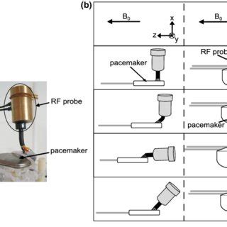 RF Probe Positioning During MRI Experiments A Picture Of An RF Probe Download Scientific
