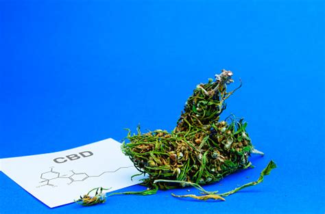 의료 대마초 개념 기호 Cbd 및 화학 포밀라와 마리화나 와 종이 시트의 꽃 싹 Cbd 또는 Thc 잡초 또는 대마 Cannabis Indica에 대한 스톡 사진 및 기타