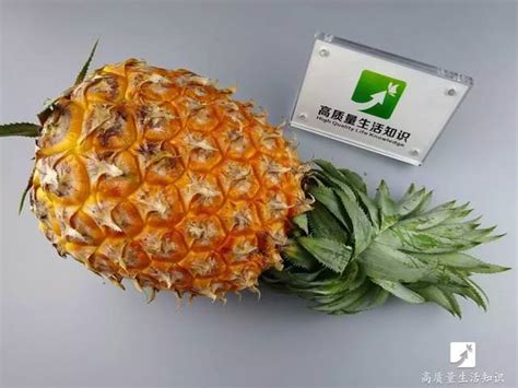 去皮小妙招：鳳梨去皮竟這麼簡單，不用一分鐘全變鳳梨塊！太實用了，歡迎分享！