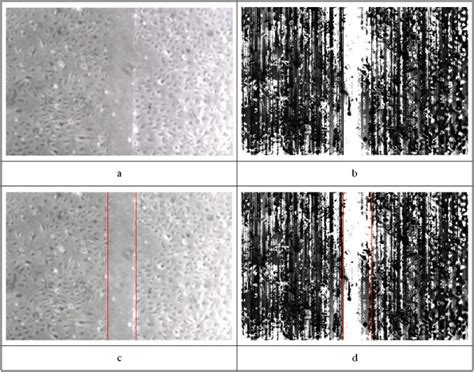 an example image is shown in panel a followed by the derived texture