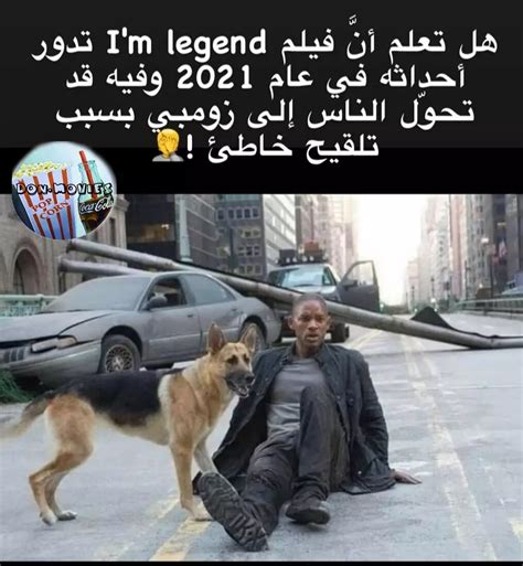 ‎don Movies دون موفيز 🔵‎ ‎🙂💔 للمزيد من الأفلام والأخبار