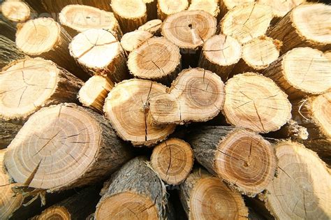 잘라서 쌓아놓은 통나무 유토이미지 상세페이지 베이직샵 사진 20706563