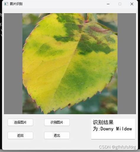 0074期通过cnn卷积网络识别树叶是否存在病变 含数据集 Csdn博客 0074期通过cnn卷积网络识别树叶是否存在病变 含数据集 Csdn博客