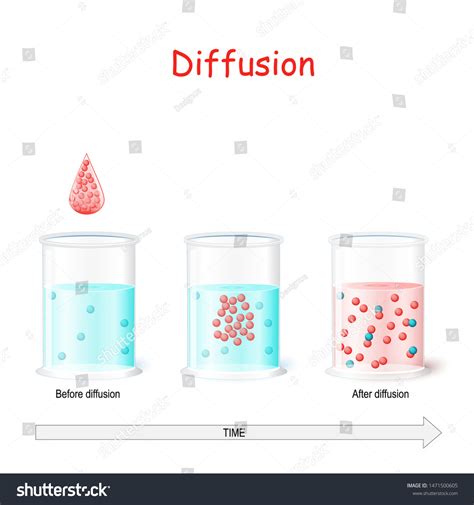 Diffusion Process In Physics Laboratory Royalty Free Stock Vector 1471500605 Avopix Com