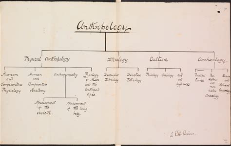 Excavating Pitt Rivers Four Field Anthropology
