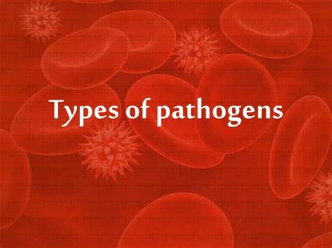 Ppt Types Of Pathogens Powerpoint Presentation Free Download Id 4741183