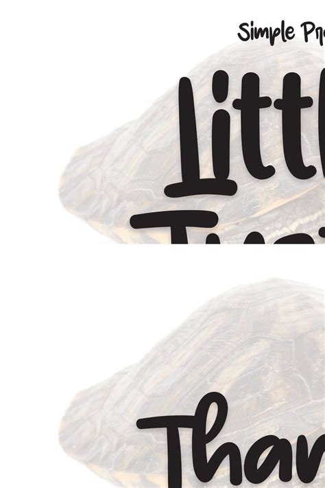 Little Turtle Script Font Masterbundles