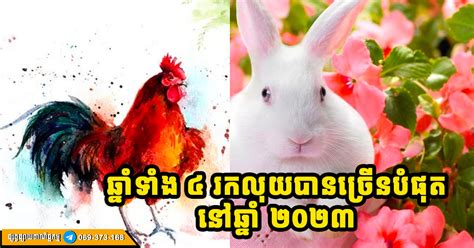 កំពូលឆ្នាំទាំង ៤ រកបានលុយច្រើនបំផុត ក្នុងឆ្នាំ ២០២៣ Knongsrok