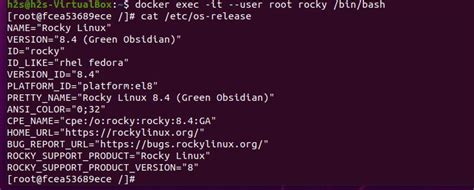 How To Install And Use Rocky Linux Docker Container Linux Shout
