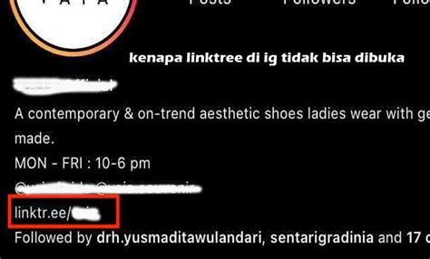 4 Faktor Kenapa Linktree Di Ig Tidak Bisa Dibuka Dan Solusi