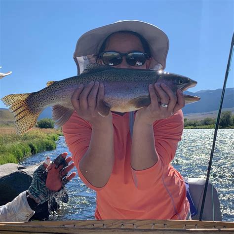 Madison River Madison Valley Ennis Montana River Reports Updates