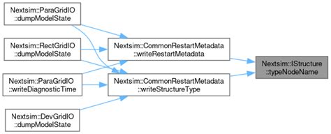 Netxsimdg Nextsim Istructure Class Reference