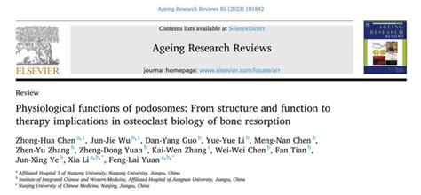 Ageing Res Rev 综述︱江南大学袁凤来团队系统性评述伪足小体在破骨细胞骨吸收中作用及研究进展 知乎