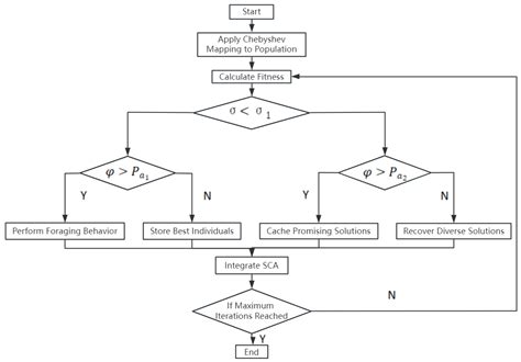 camera calibration optimization algorithm based on nutcracker optimization algorithm