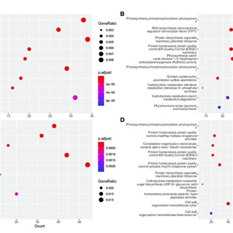 Enrichment Analysis Of Genes With Temporal Expression Profiles A B