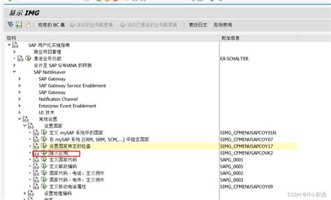 Sap S4 Fi后台详细配置教程 Part1 （通用配置及基础架构篇）sap S4 Fico配置清单 Csdn博客