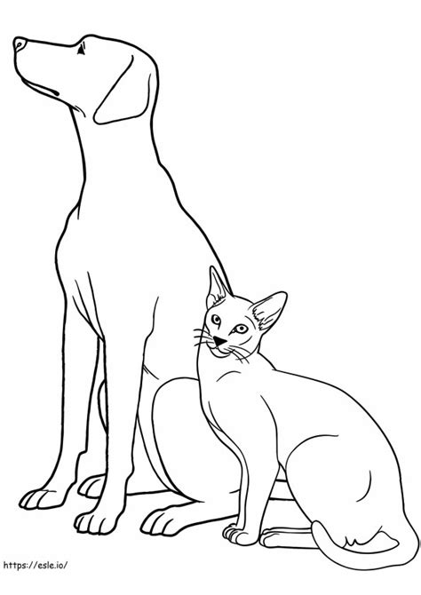 猫のぬりえ ぬりえ 塗り絵 塗り絵 無料