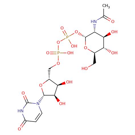 Udp N Acetyl D Glucosamine 528 04 1 Mu04393