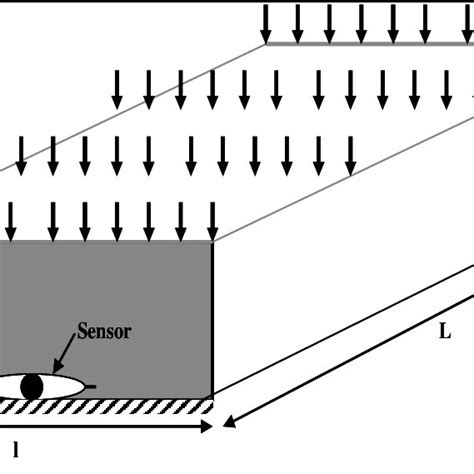 Structure Of The Sensor Inserted Into A Massive Download Scientific Diagram