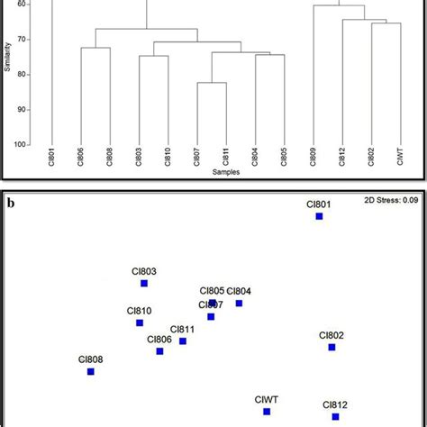 Hierarchical Cluster Analysis Hca Dendrogram A And Non Metric Mds
