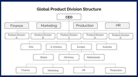 Organisational Structure In Mncs Pdf