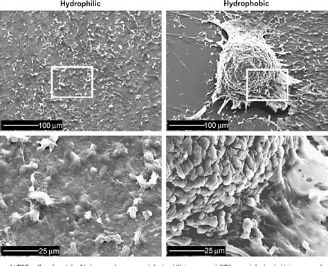 Octadecyltrichlorosilane Semantic Scholar
