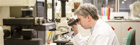 REACh Compliance Electra Polymers