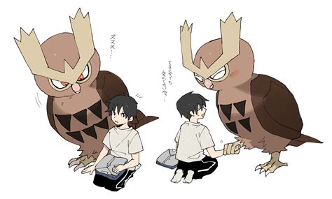 Noctowl Pokemon Drawn By Newoshinra P Danbooru