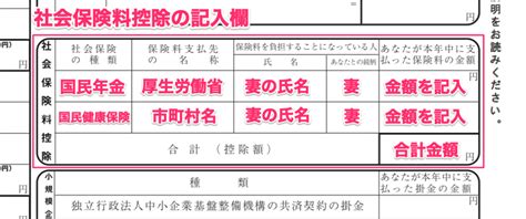 妻の国民年金と国民健康保険料夫が年末調整で節税社会保険料を家族代表で所得控除 主婦が青色申告