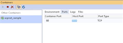 Visual Studio Container Tools Extension Preview • 3rd Man