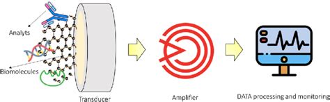 Schematic Illustration Of Biosensor Technology Adapted From Ref 86 Download Scientific