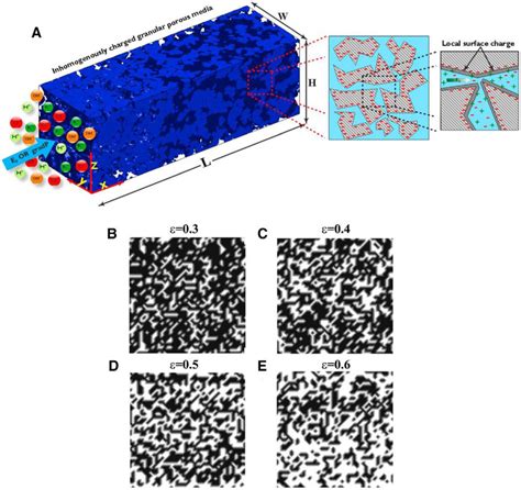 A Schematic Illustration Of The 3d Randomly Generated Porous Media
