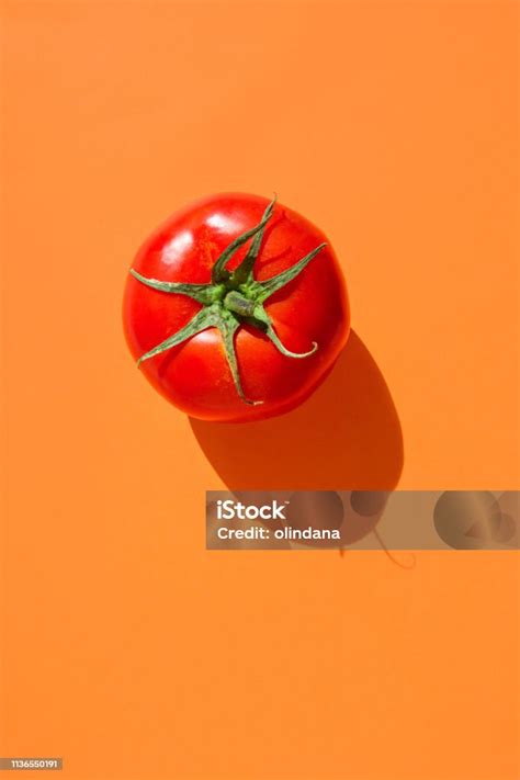 단단한 겨자 주황색 배경에 잘 익은 원시 유기 토마토 거친 빛이 강한 그림자 보색 색상표입니다 균형 잡힌 다이어트 비 건 건강 한 라이프 스타일 컨셉 크리에이티브 푸드
