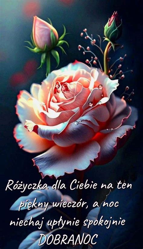 Pin Di Jasmine X Su Dobranoc Nel