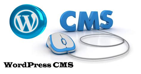 Reasons You Need To Know That Make Wordpress The Best Cms