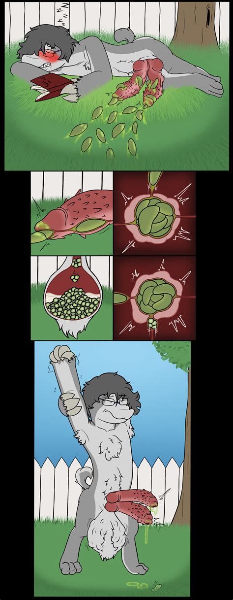 Rule 34 Absurd Res Anthro Anthro Urethral Insertion Backyard Balls Balls Inflation Bodily