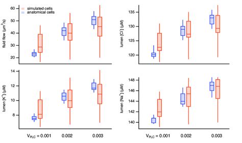 Steady State Fluid Flow And Lumenal Ionic Concentrations In Simulated Download Scientific