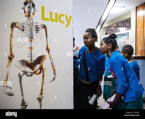 Lucy Skeleton Banque De Photographies Et Dimages à Haute Résolution