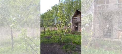 Дача 20 м² на участке 10 сот на продажу в Орле Купить дом в Орле Авито
