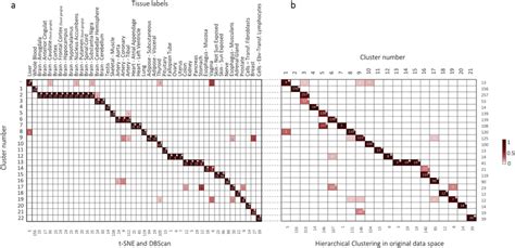 Cluster Associations And Comparison With The Hierarchical Clustering Download Scientific